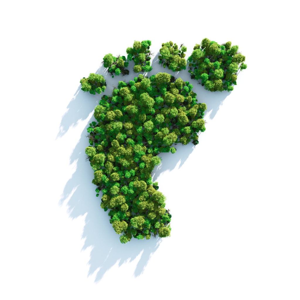 Ekologiskt fotavtryck - läromedel i biologi åk 7,8,9